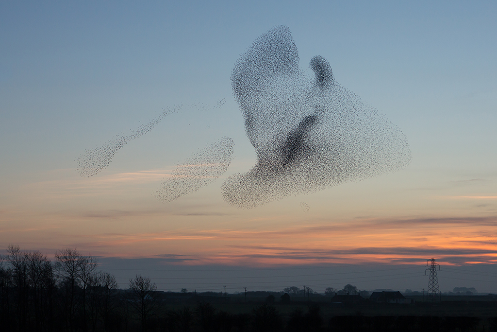 External expertise helps to deliver structure and efficiencies for a ...